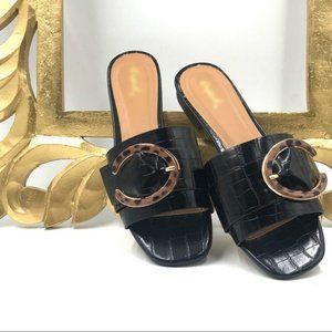Shoes | Black Croc Slides With Tortoise Shell Buckle | Poshmark